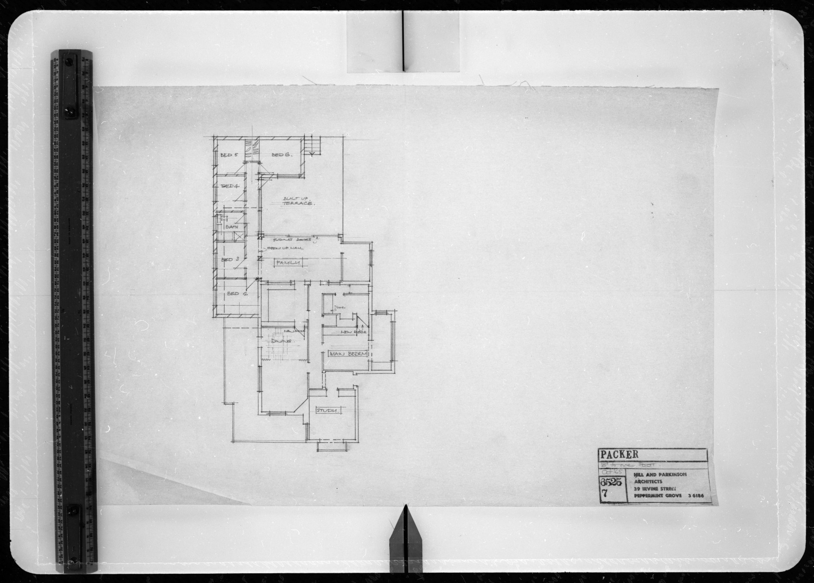 House alterations for Dr Peter Packer and his wife Glendyr at 58 Irvine ...