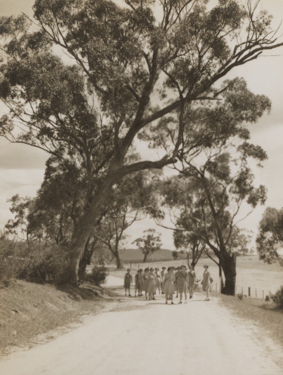 Australian Army Medical Women's Service members on the Lerderderg Gorge ...