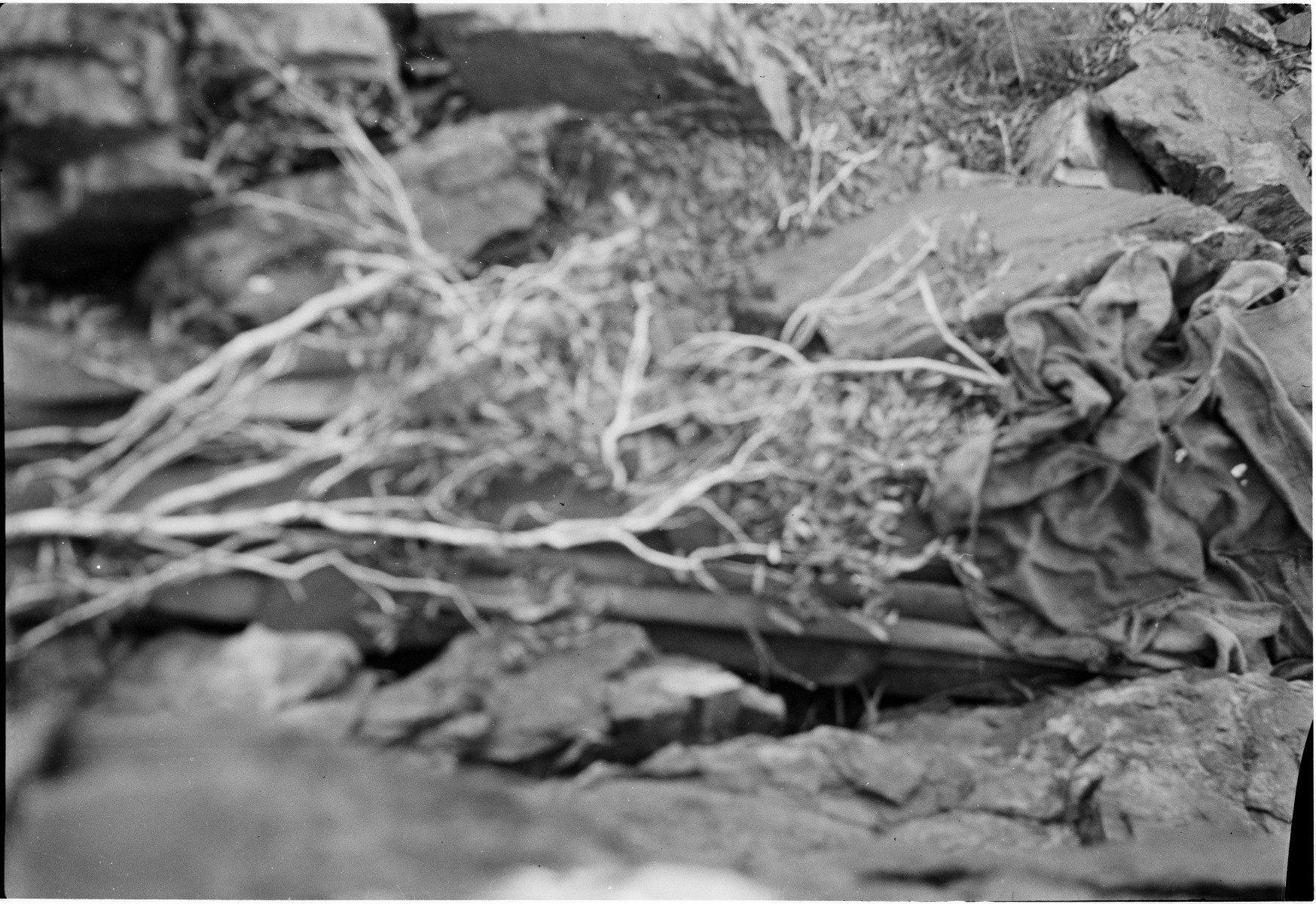 Aboriginal Australian site near Castlemaine Gold Mine, Five Mile Creek ...