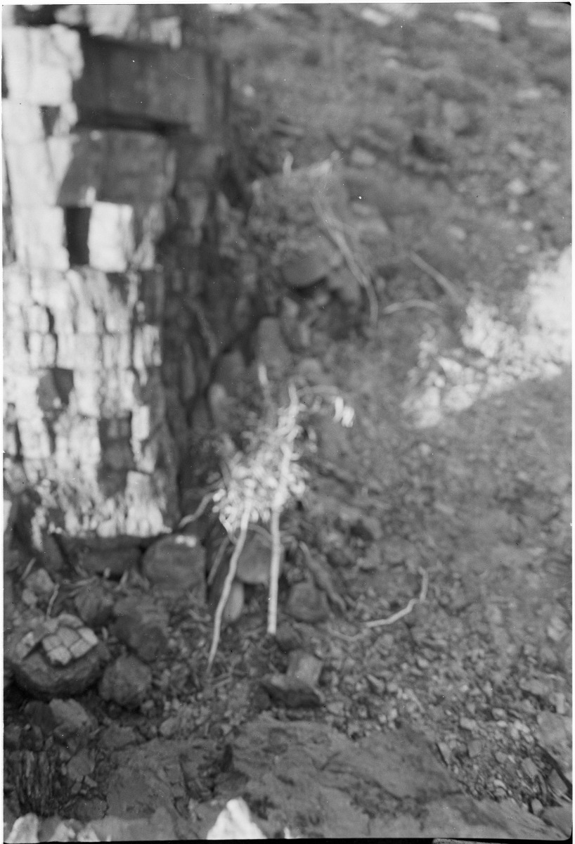Aboriginal Australian site near Castlemaine Gold Mine, Five Mile Creek ...