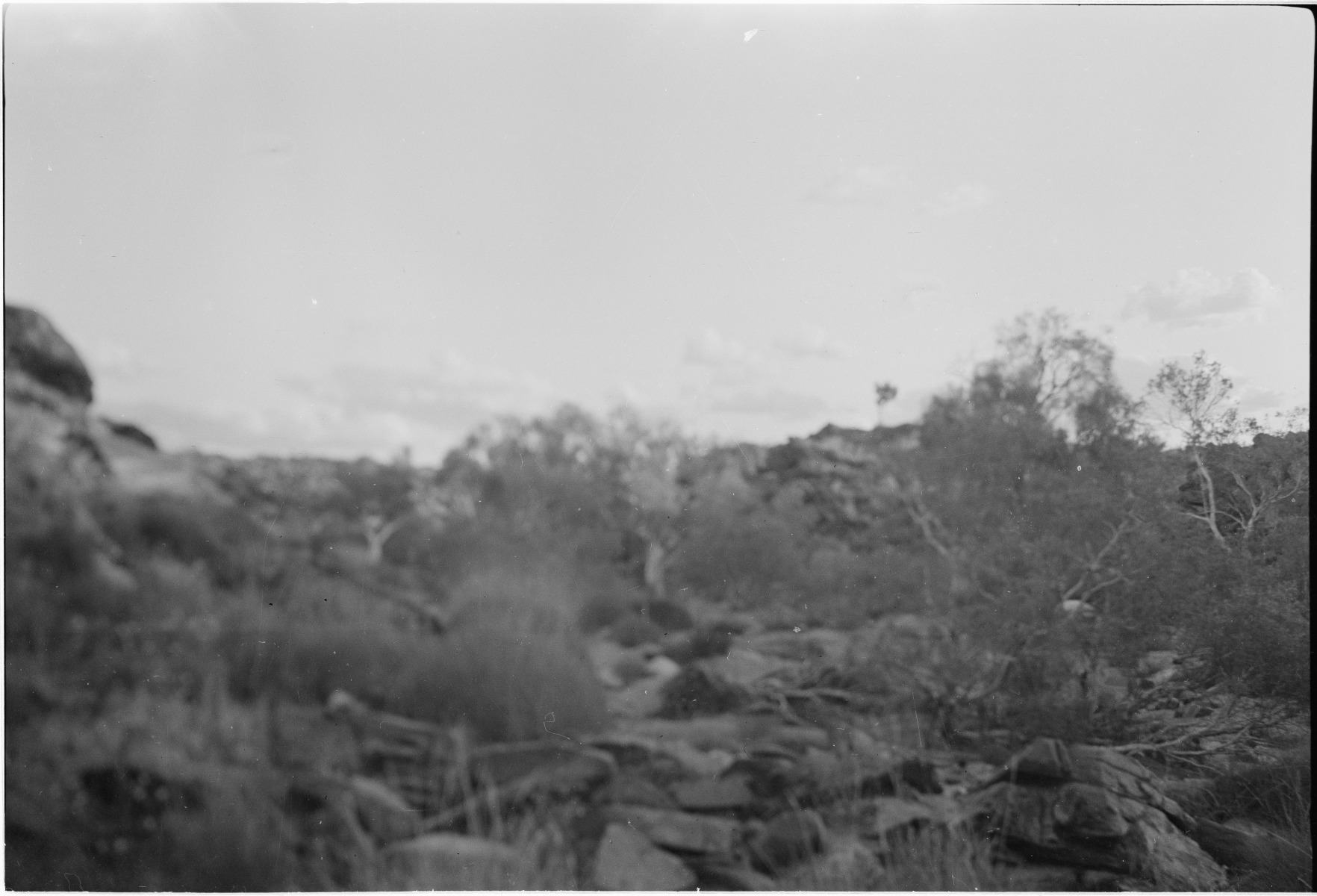 Area of columbite minerals, upper Five Mile Creek, near Nullagine ...