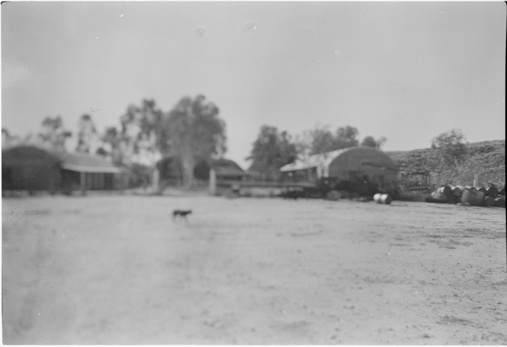 Hillside Station, Western Australia. - JPG 446.5 KB