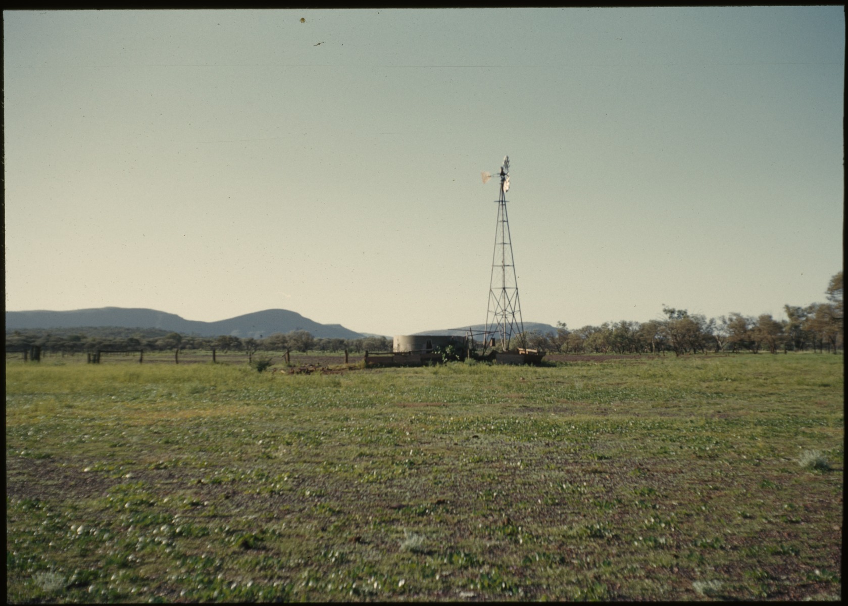 Rocklea Station, Western Australia. - JPG 390.5 KB
