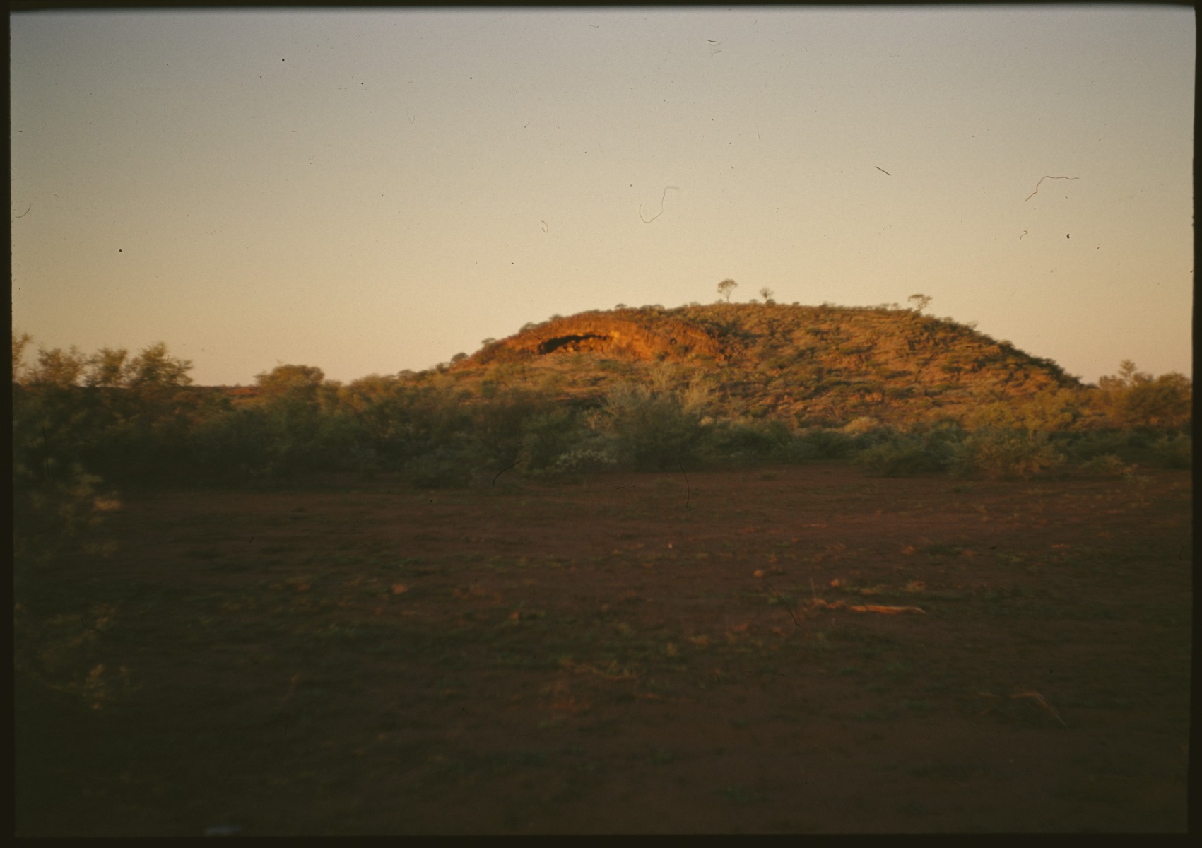 Rocklea Station, Western Australia. - JPG 245.5 KB