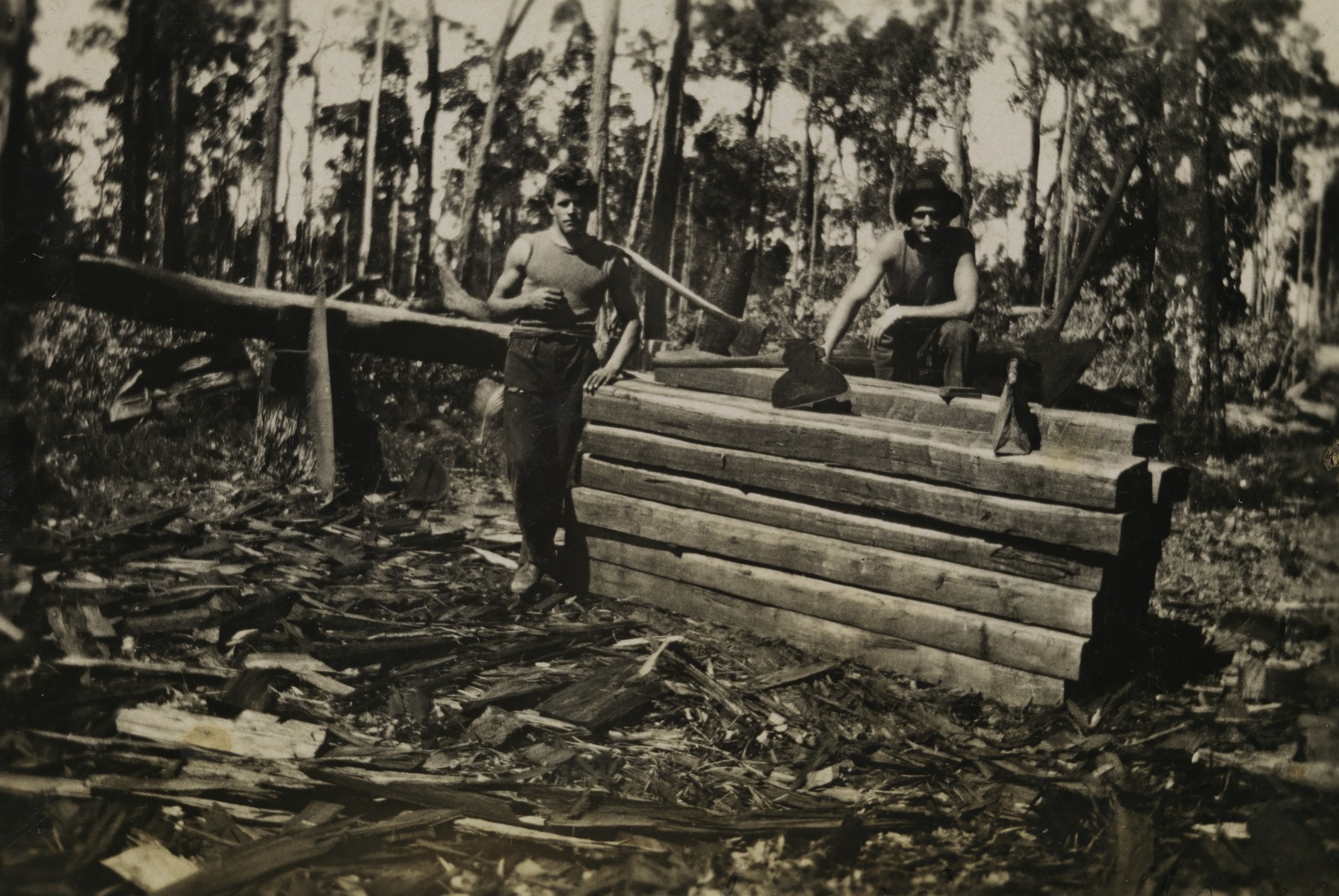 Forests Department staff George Clover and Claude Kinsella at work in a ...