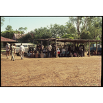 Members of the Yungngora Community meeting with government ministers at ...