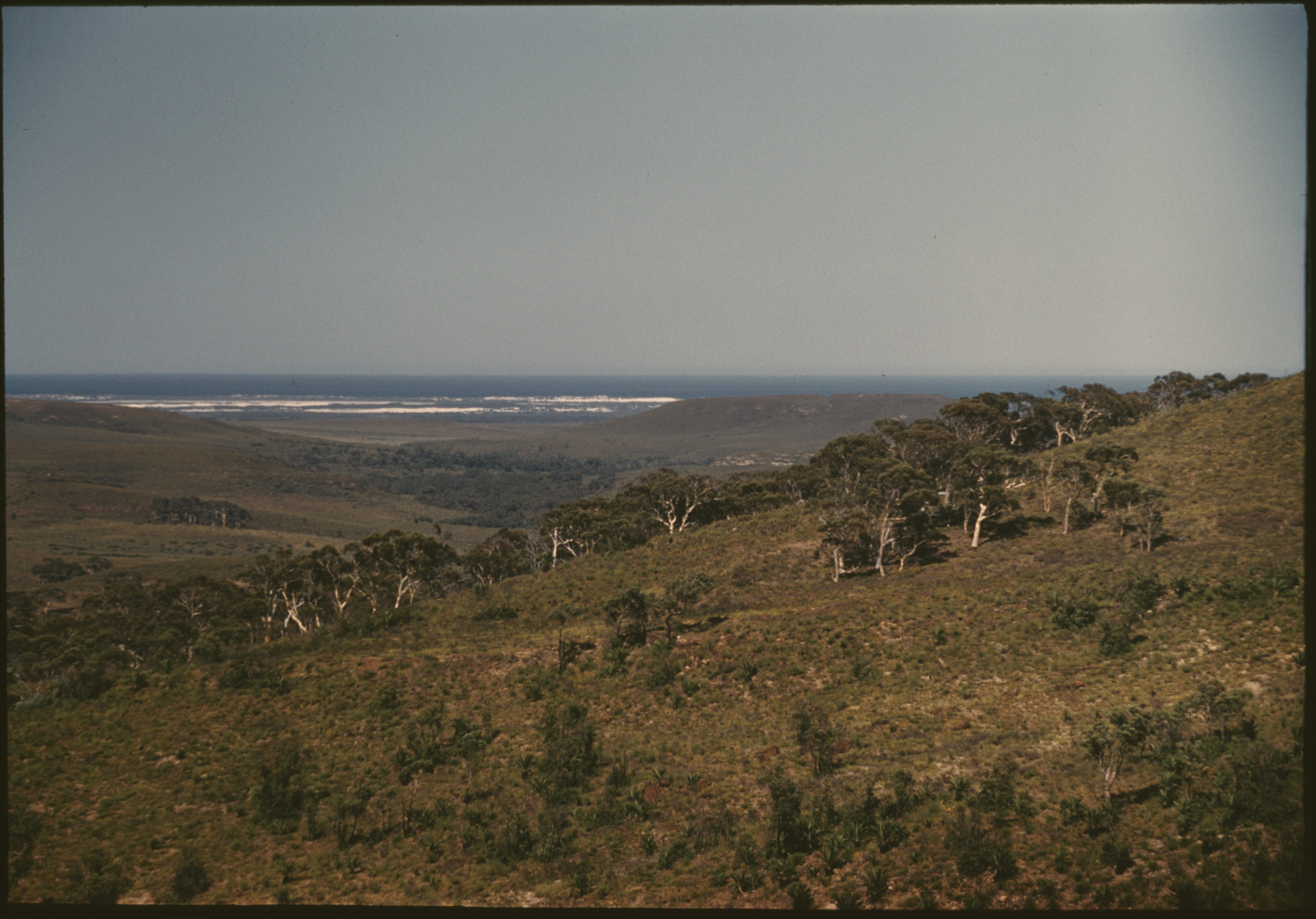 Cockleshell Gully, north of Jurien Bay, Western Australia. - JPG 536.9 KB