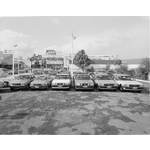The Anderson Ford used car yard, 151 Adelaide Terrace, Perth, 25 June 1981.