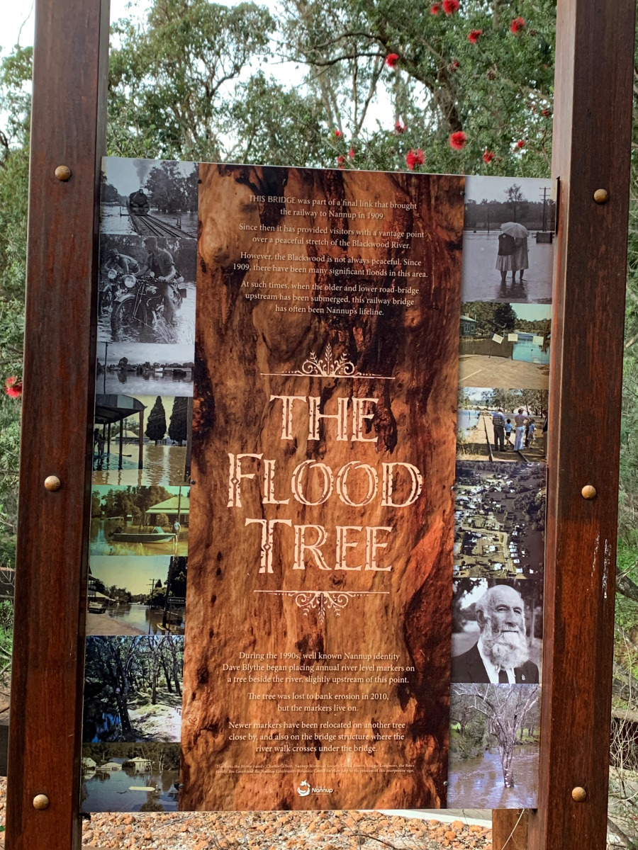 The Flood Tree, recording river levels in Nannup, 27 June 2020. - JPG ...
