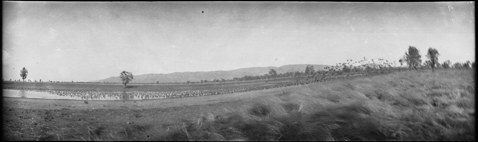 Ivanhoe Station, Western Australia. - JPG 248.1 KB