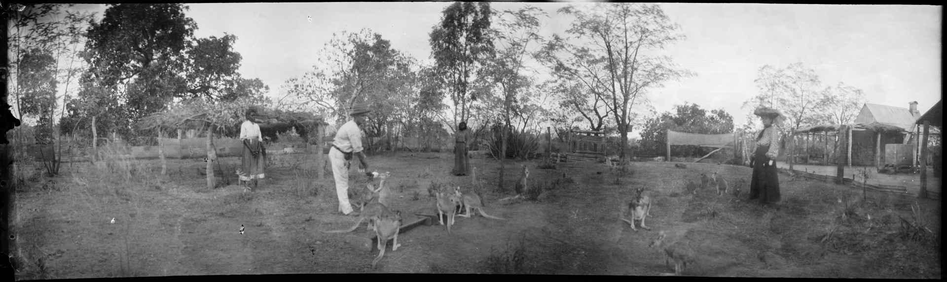 Argyle Downs Station, Western Australia. - JPG 303.2 KB