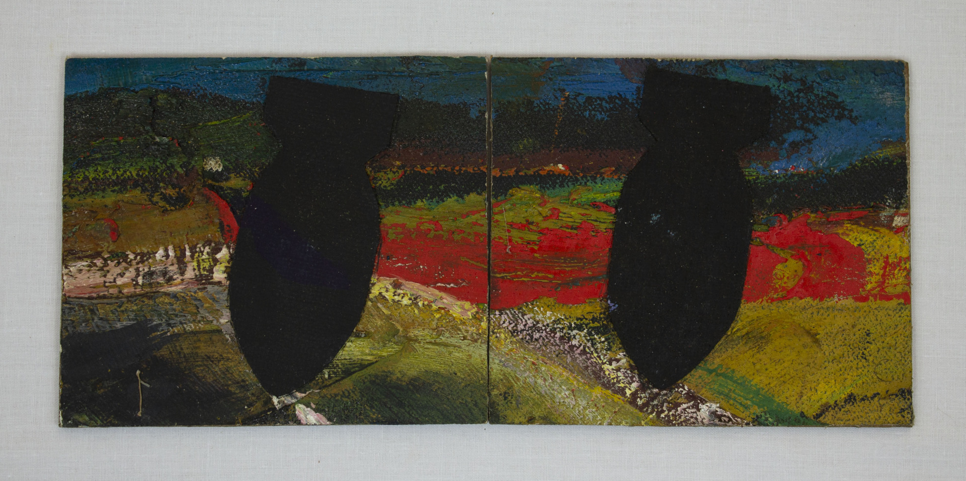 Dr Diana McGirr photographs of Douglas Chambers art collection. - State ...