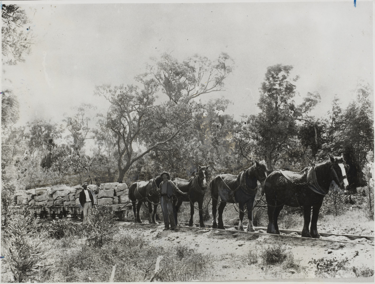 Limestone blocks are hauled by horses on a light rail from Perry's ...