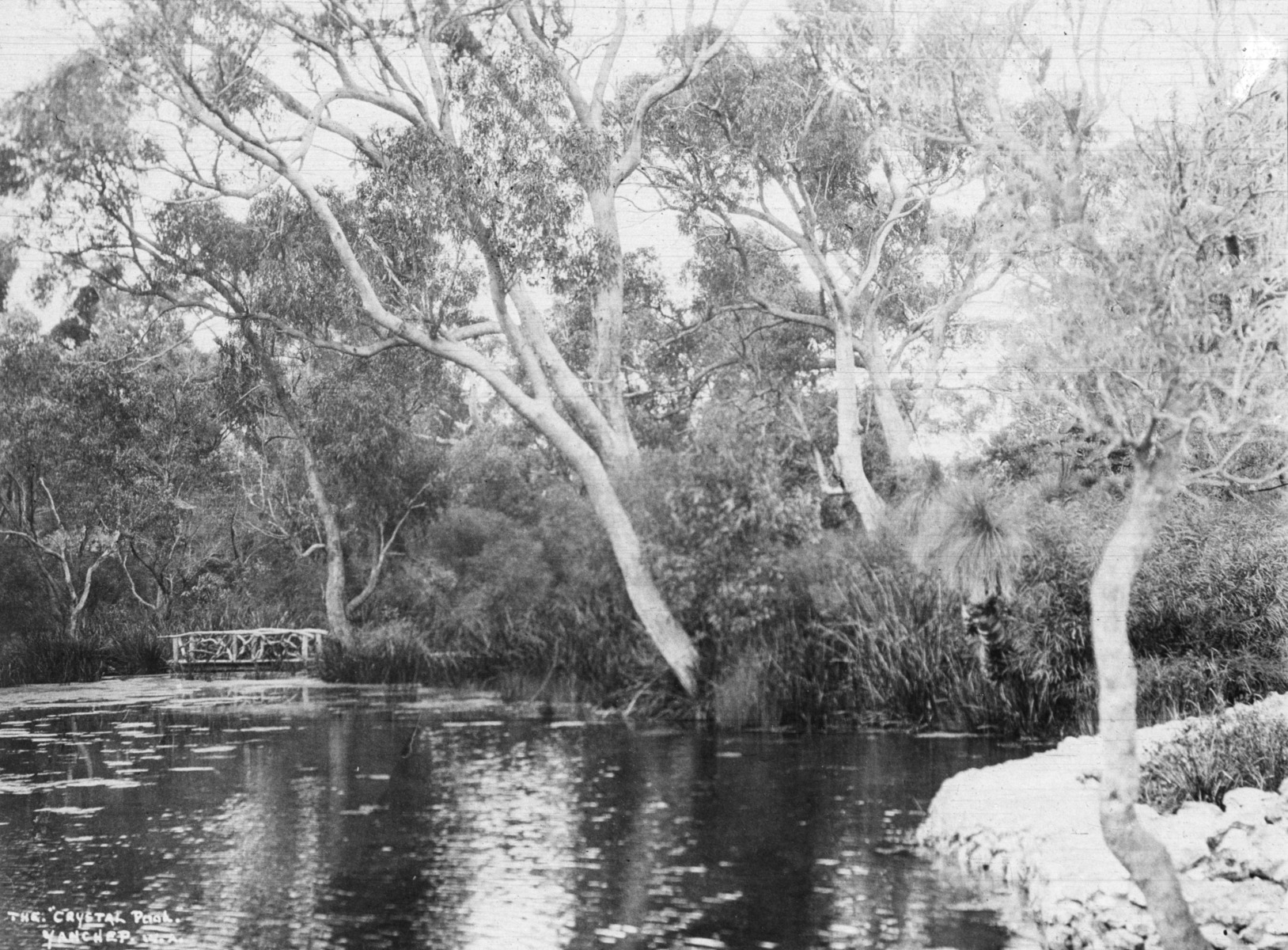 The Crystal Pool, Yanchep W.A. / - JPG 612.3 KB