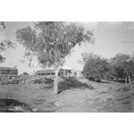 Part of Moola Bulla Station homestead seen from Station Creek.