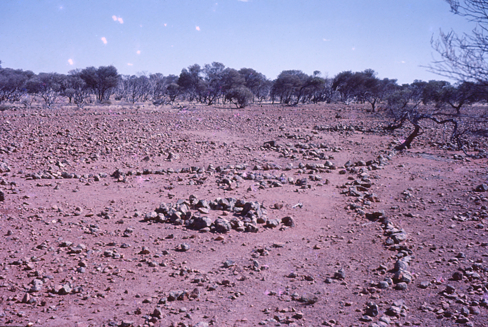 Land on the outskirts of Laverton. - JPG 829.3 KB