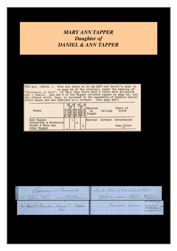 Tapper Family history papers, - PDF 788.9 KB
