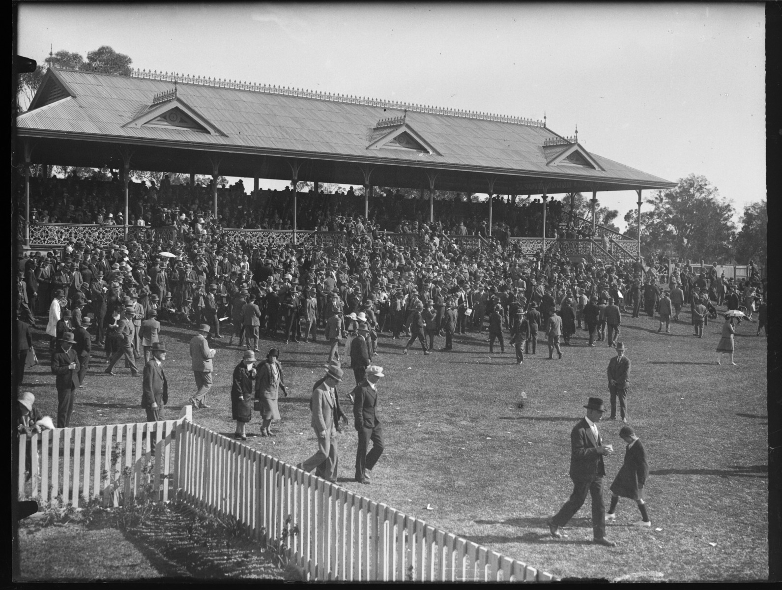 Crowd and grandstand at Helena Vale racecourse. - JPG 555.9 KB