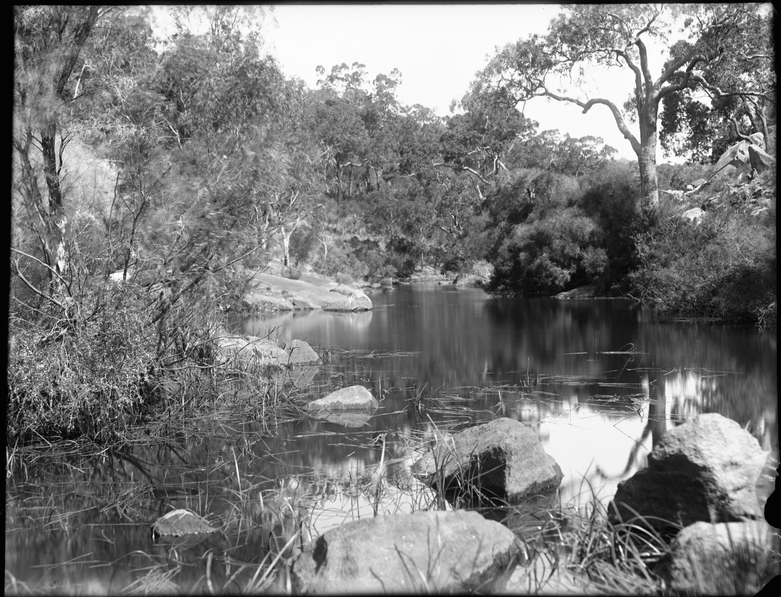 The Helena River, Darling Range, Western Australia. - JPG 613.2 KB