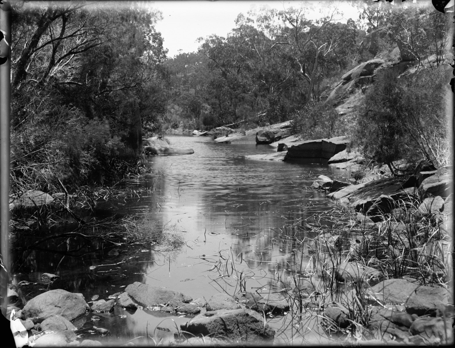 The Helena River, Darling Range, Western Australia. - JPG 609.0 KB