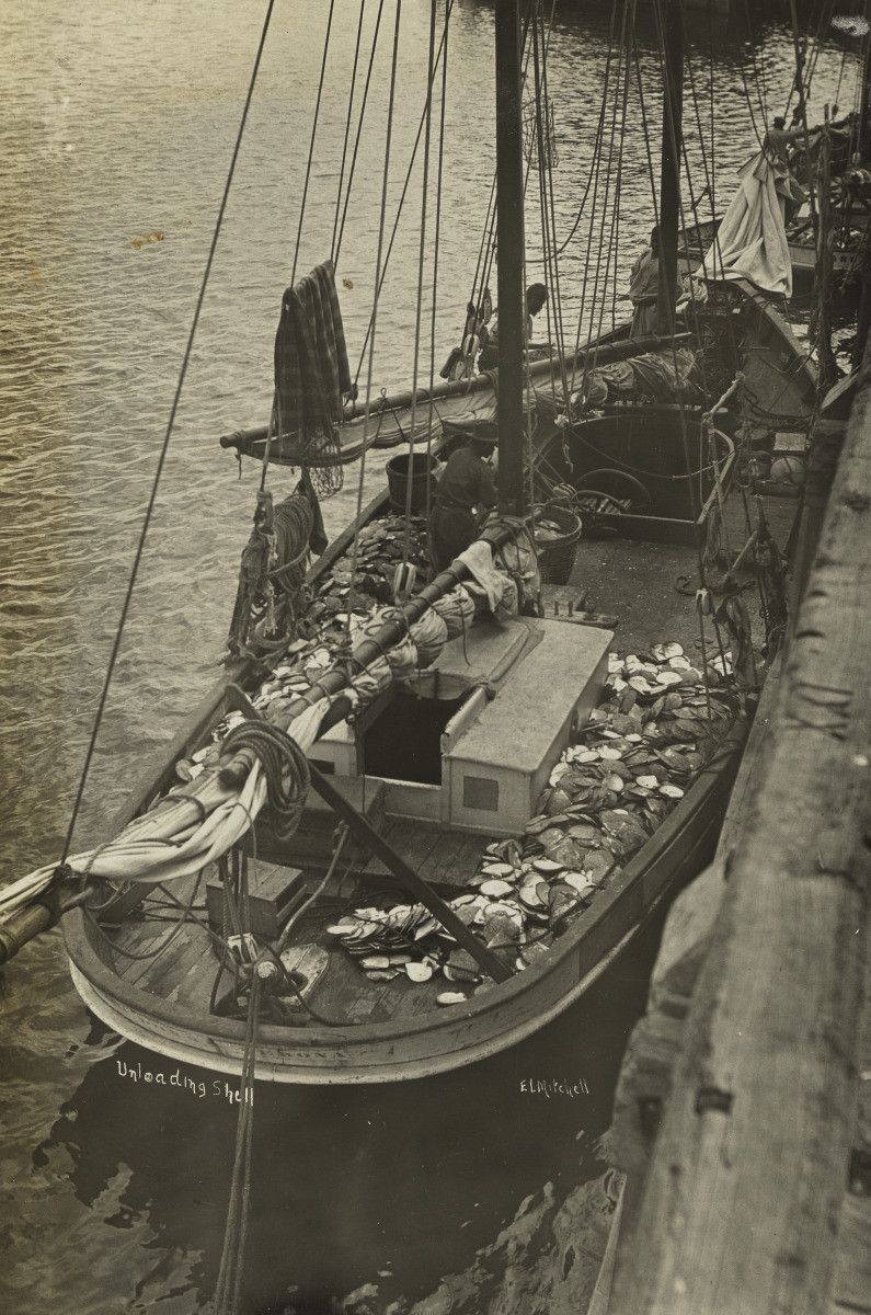 Unloading pearl shell, Broome. - JPG 331.2 KB